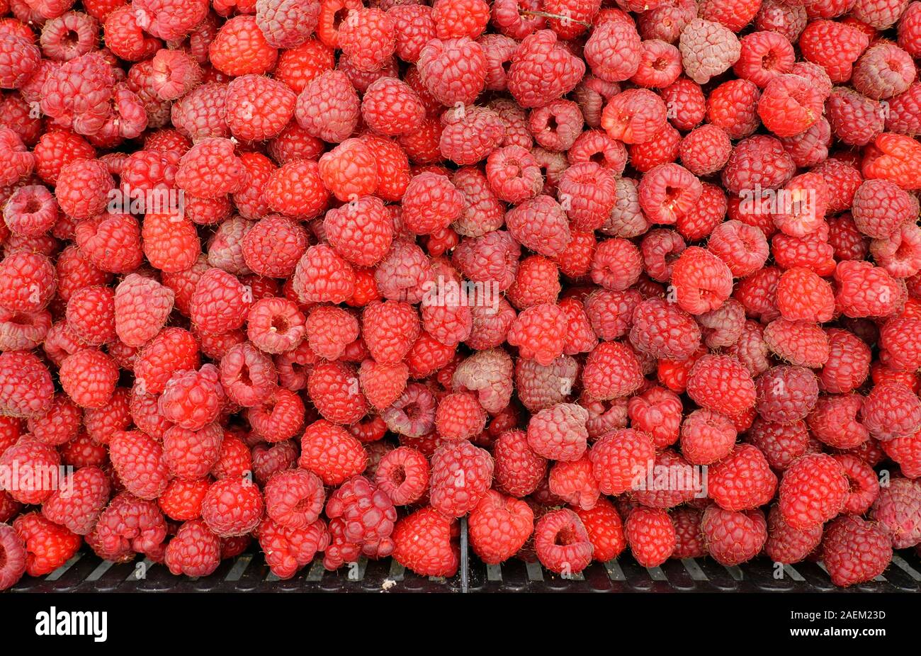 Fresh raspberries at a farmers market Stock Photo - Alamy