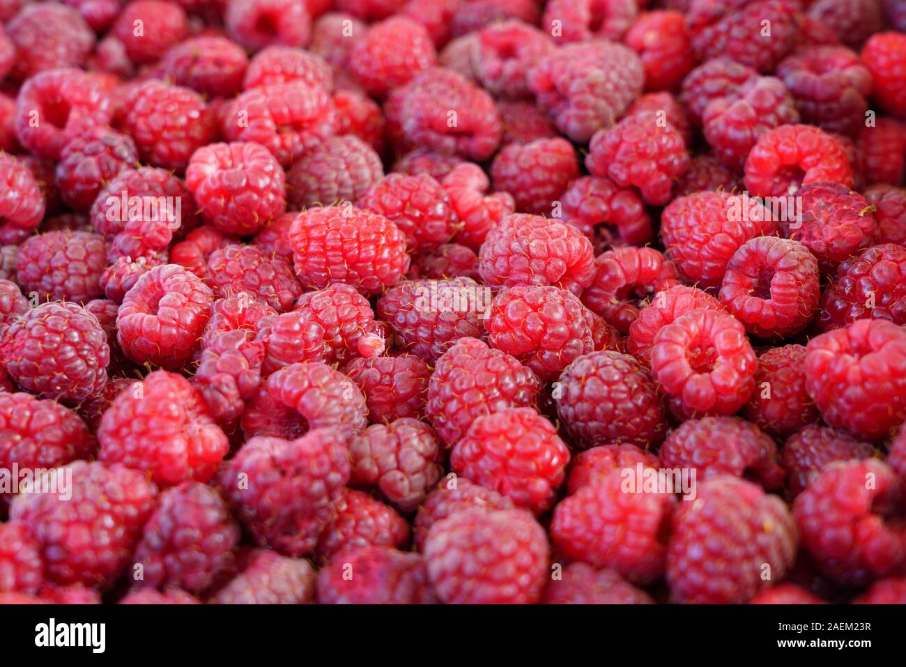 Fresh raspberries at a farmers market Stock Photo - Alamy