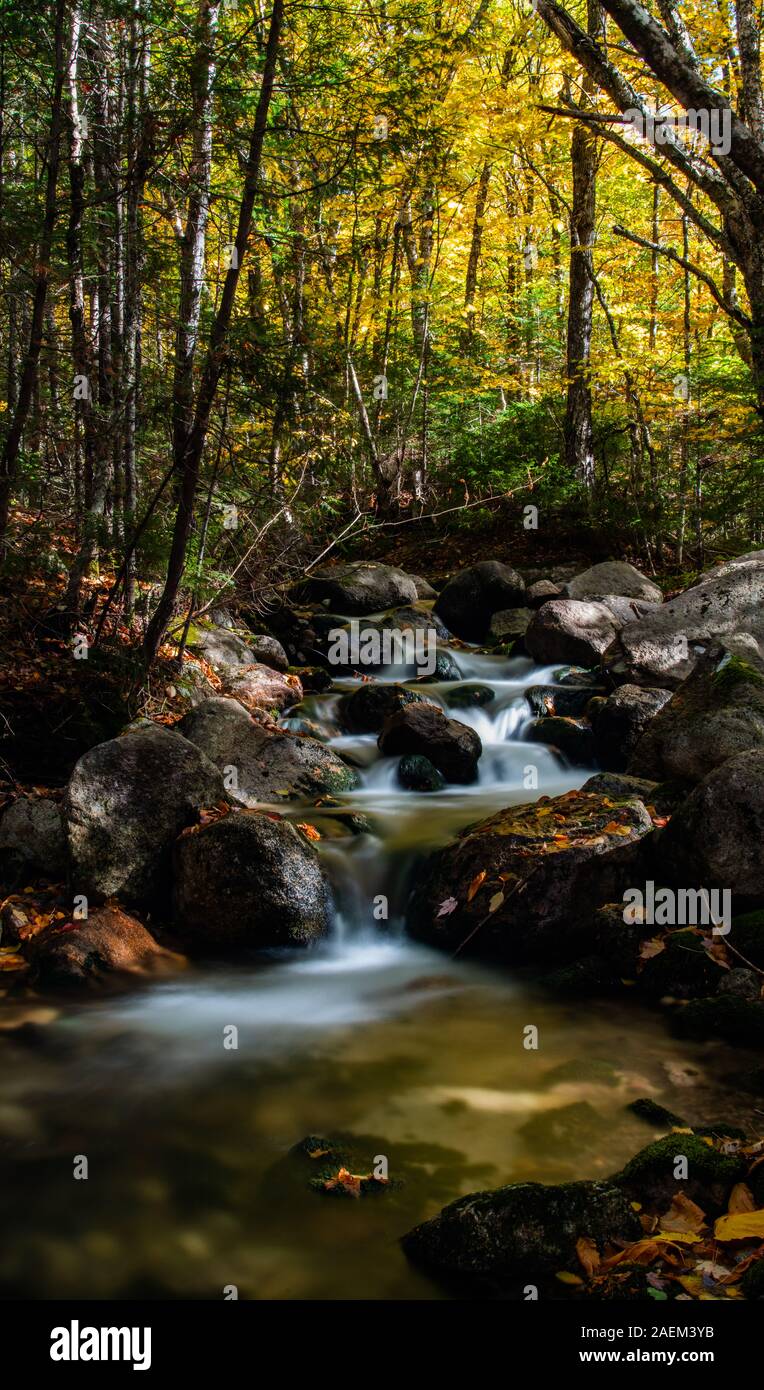 Beautiful stream in wild nature hi-res stock photography and images - Alamy