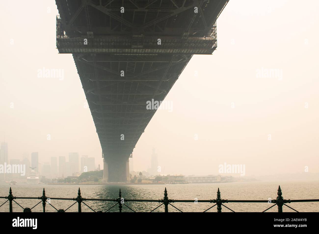 Sydney ash hi-res stock photography and images - Alamy