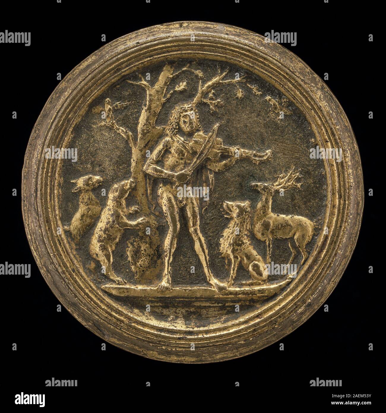 Melioli Pseudo High Resolution Stock Photography and Images - Alamy