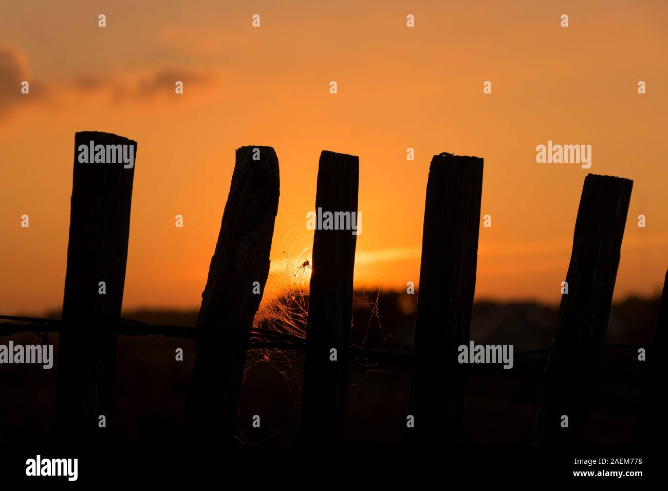A fence and sunrise Stock Photo - Alamy