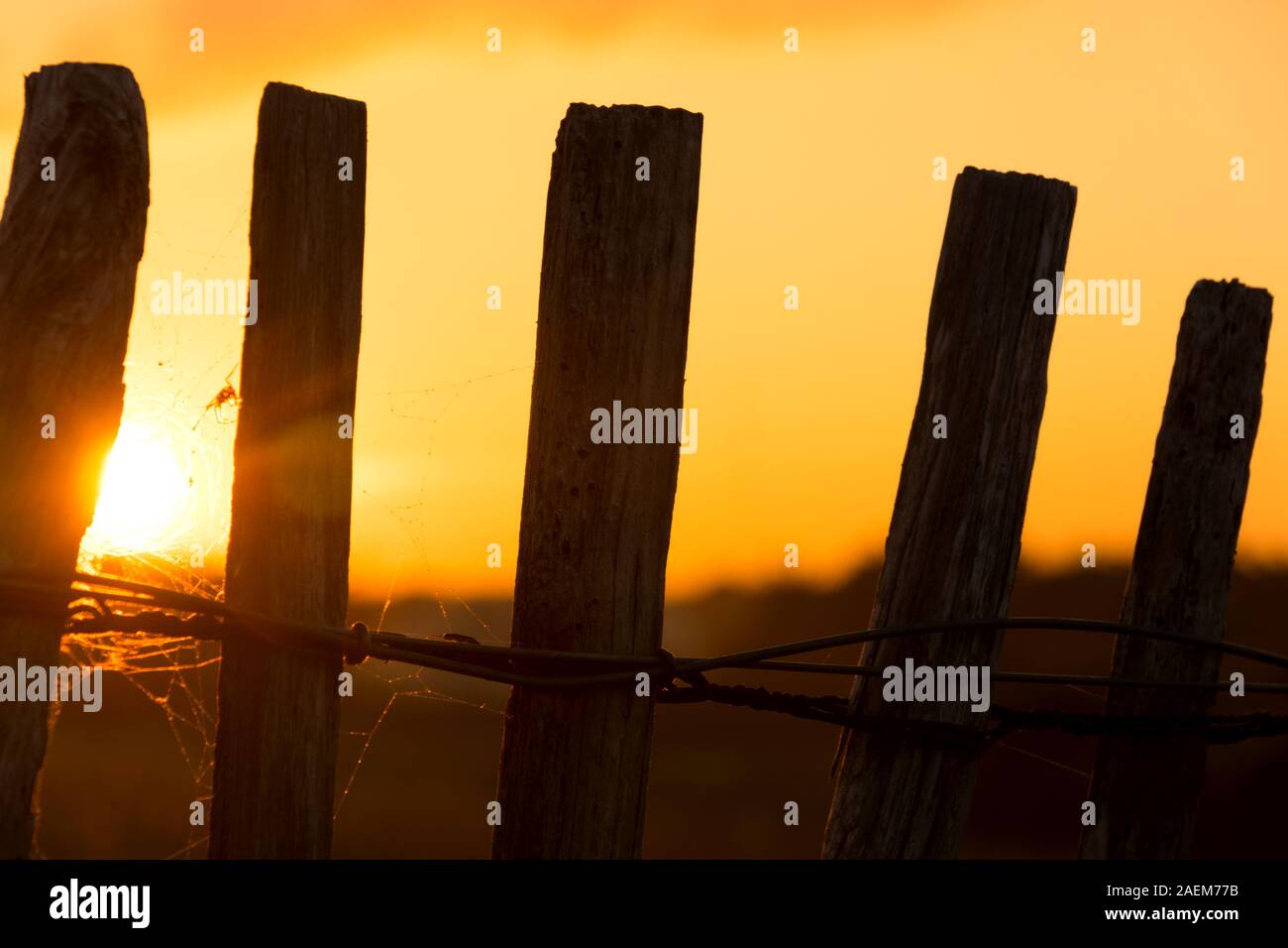 A fence and sunrise Stock Photo - Alamy