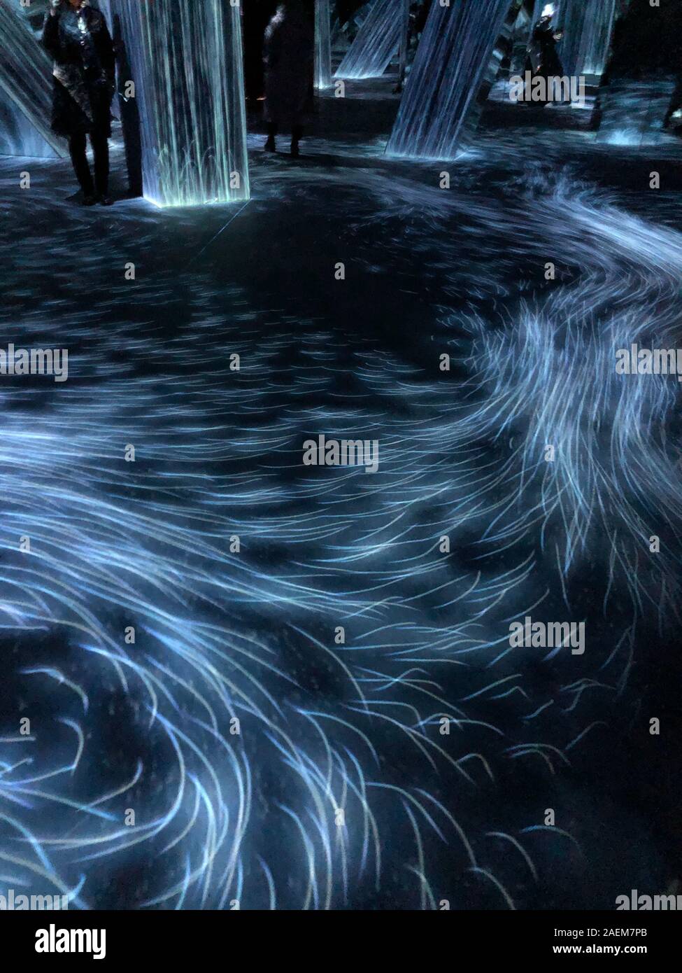 People experience 3D digital art in the teamlab Borderless Shanghai in ...