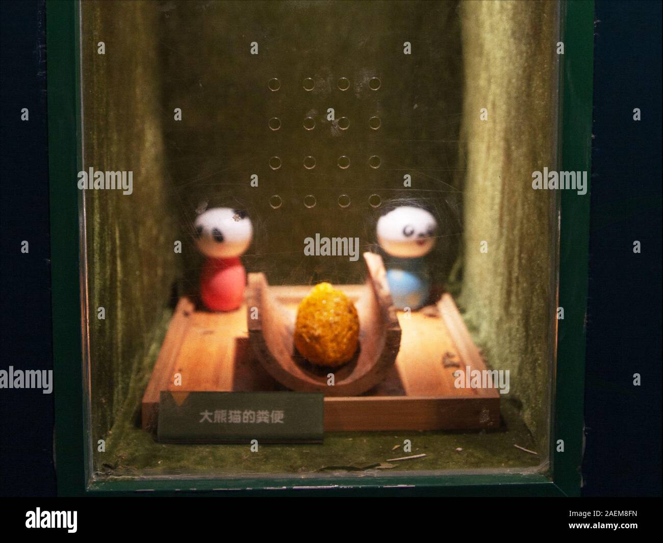 Panda excrement is displayed at the Panda Knowledge Exhibition Hall in ...