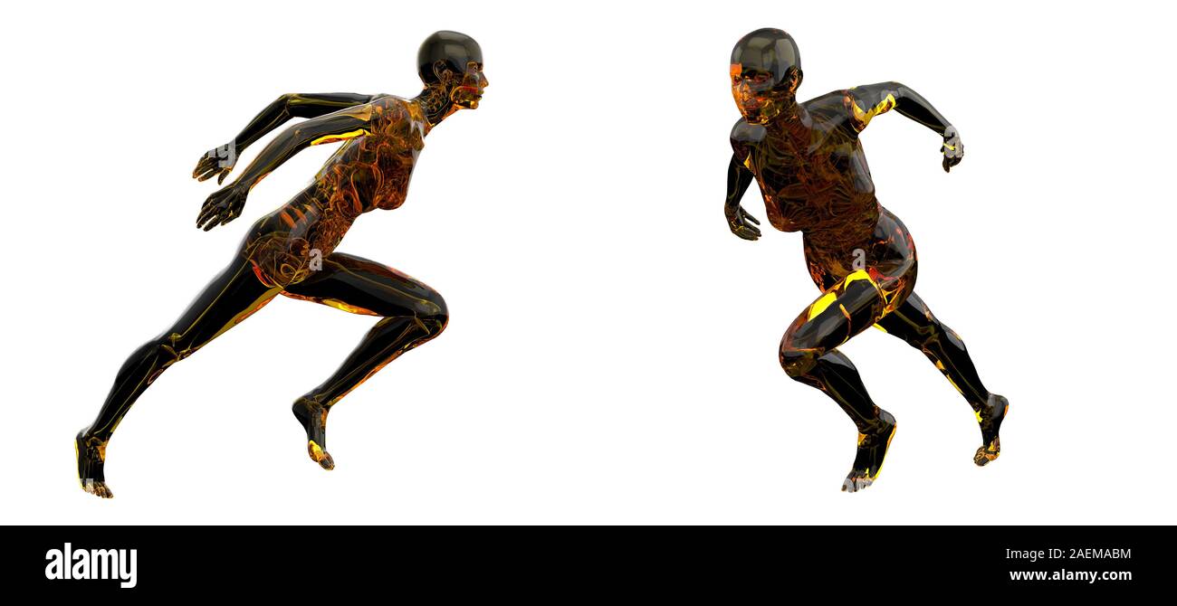 Medical 3d rendering illustration health science anatomy human 3d hi ...