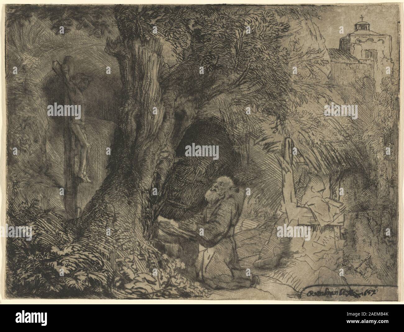 Chiaroscuro tree hi-res stock photography and images - Alamy
