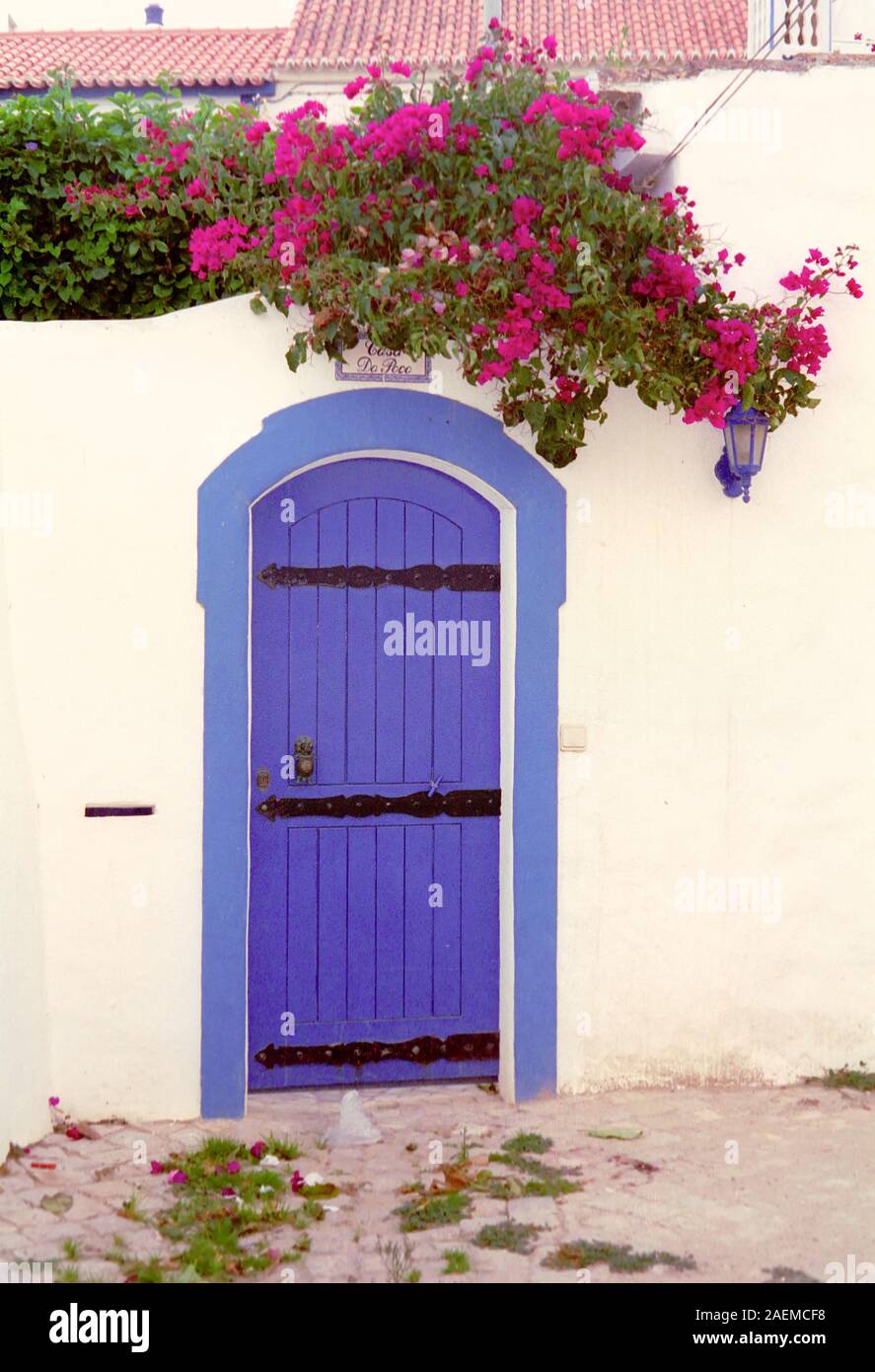Blue door flowers in hi-res stock photography and images - Alamy