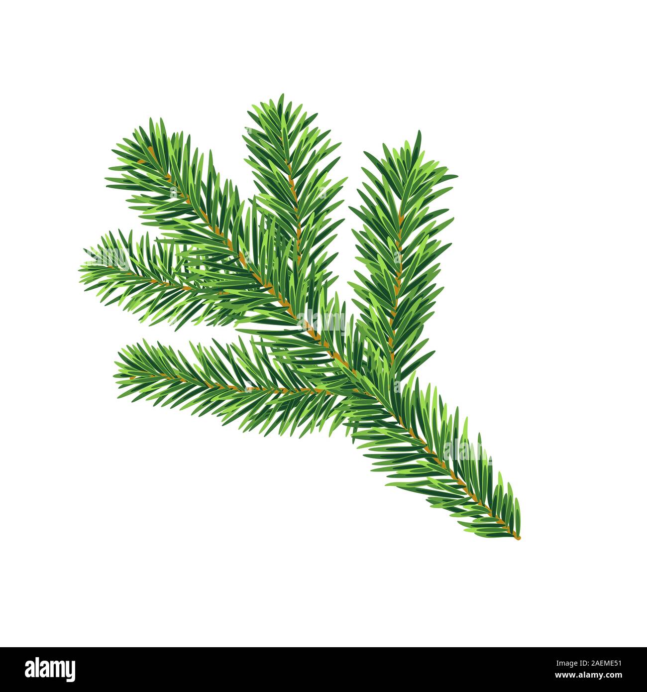 Festive branch vector vectors hi-res stock photography and images - Alamy