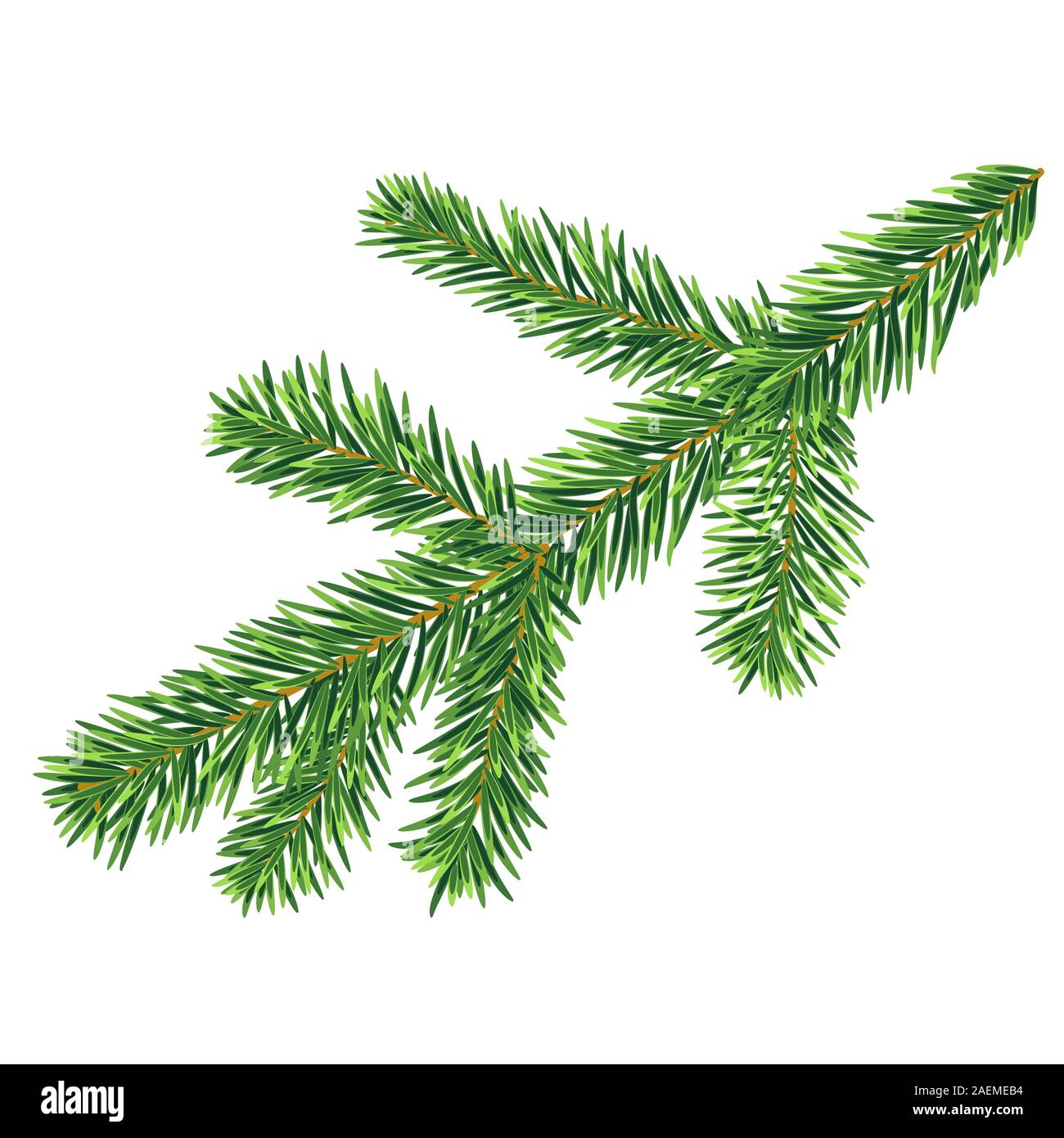 Single fir tree branch vector isolated on the white background Stock ...
