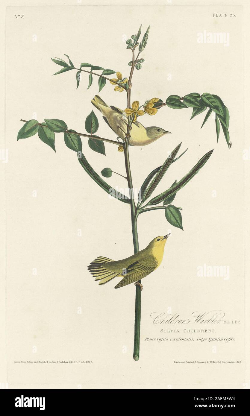Illustration by Robert Havell after John James Audubon, 1828, depicting ...