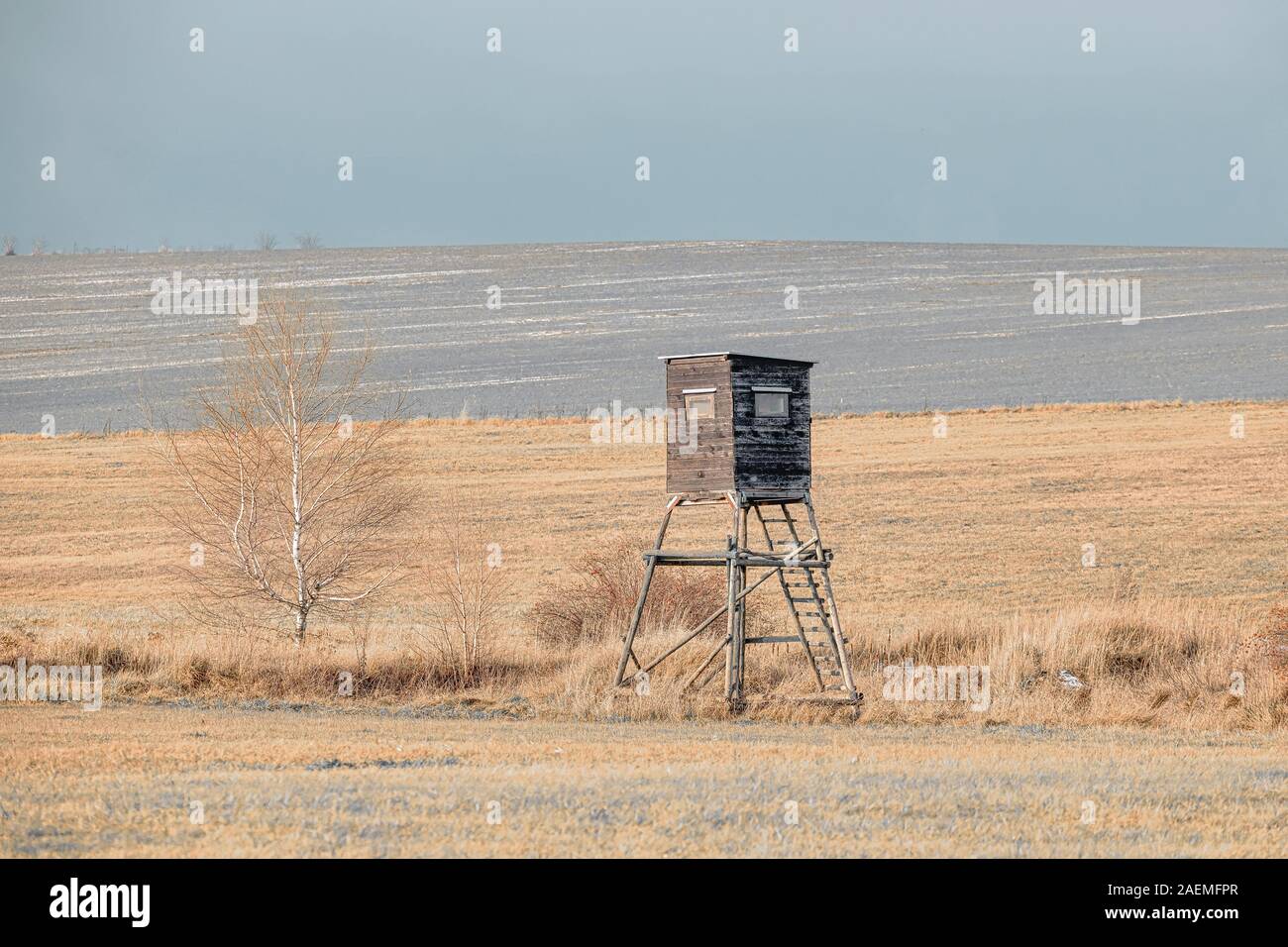 Wooden hunting tower in winter near forest, Czech Republic, Europe ...