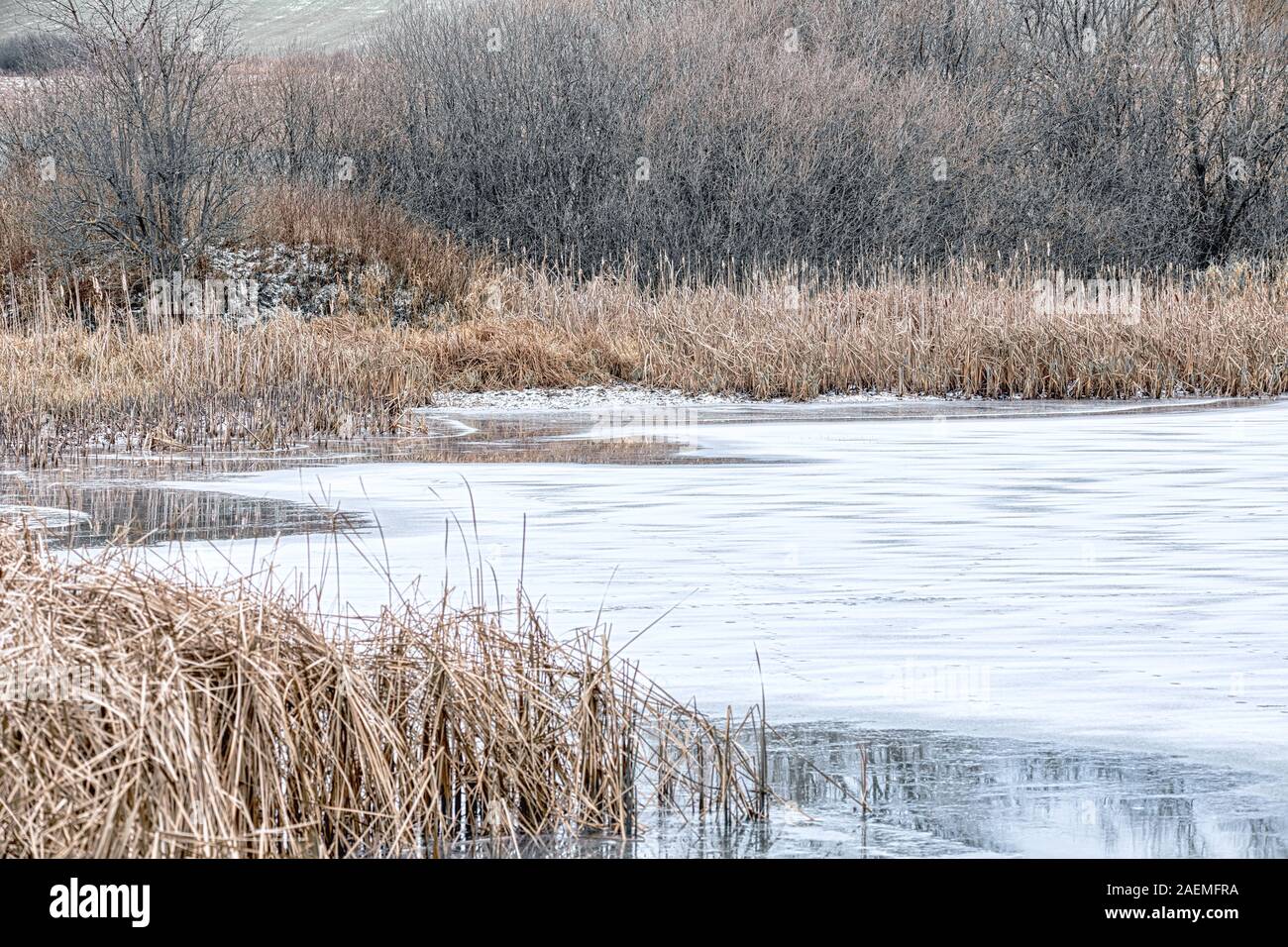Beautiful winter rural landscape with frozen small pond. Czech ...