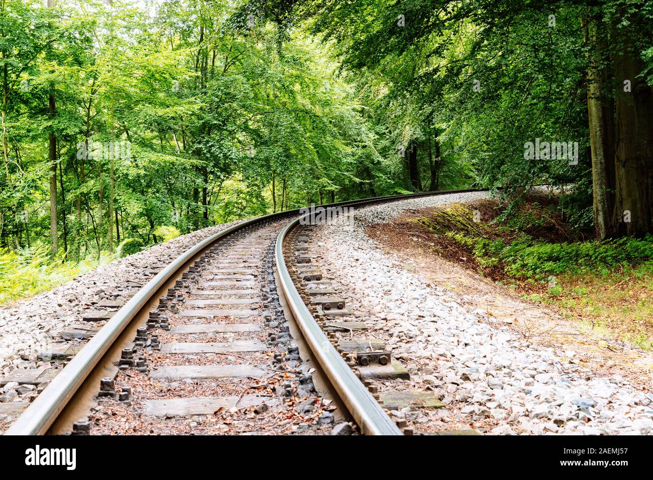Ruegen narrow gauge railway hi-res stock photography and images - Alamy