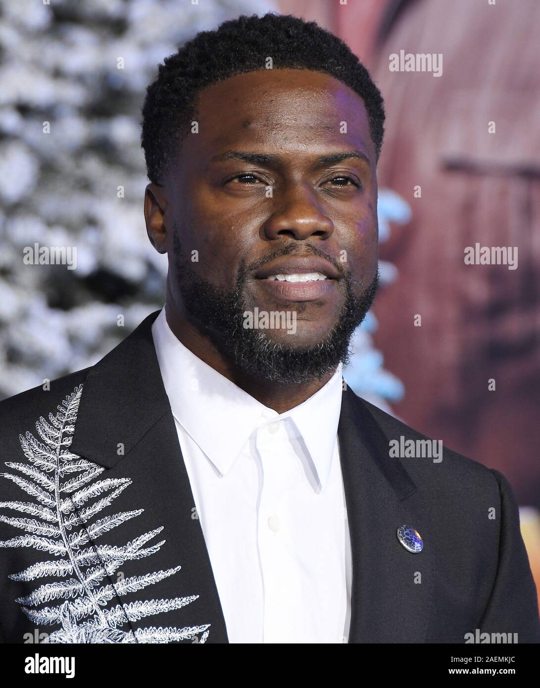 Kevin Hart arrives at the JUMANJI THE NEXT LEVEL Los Angeles Premiere ...