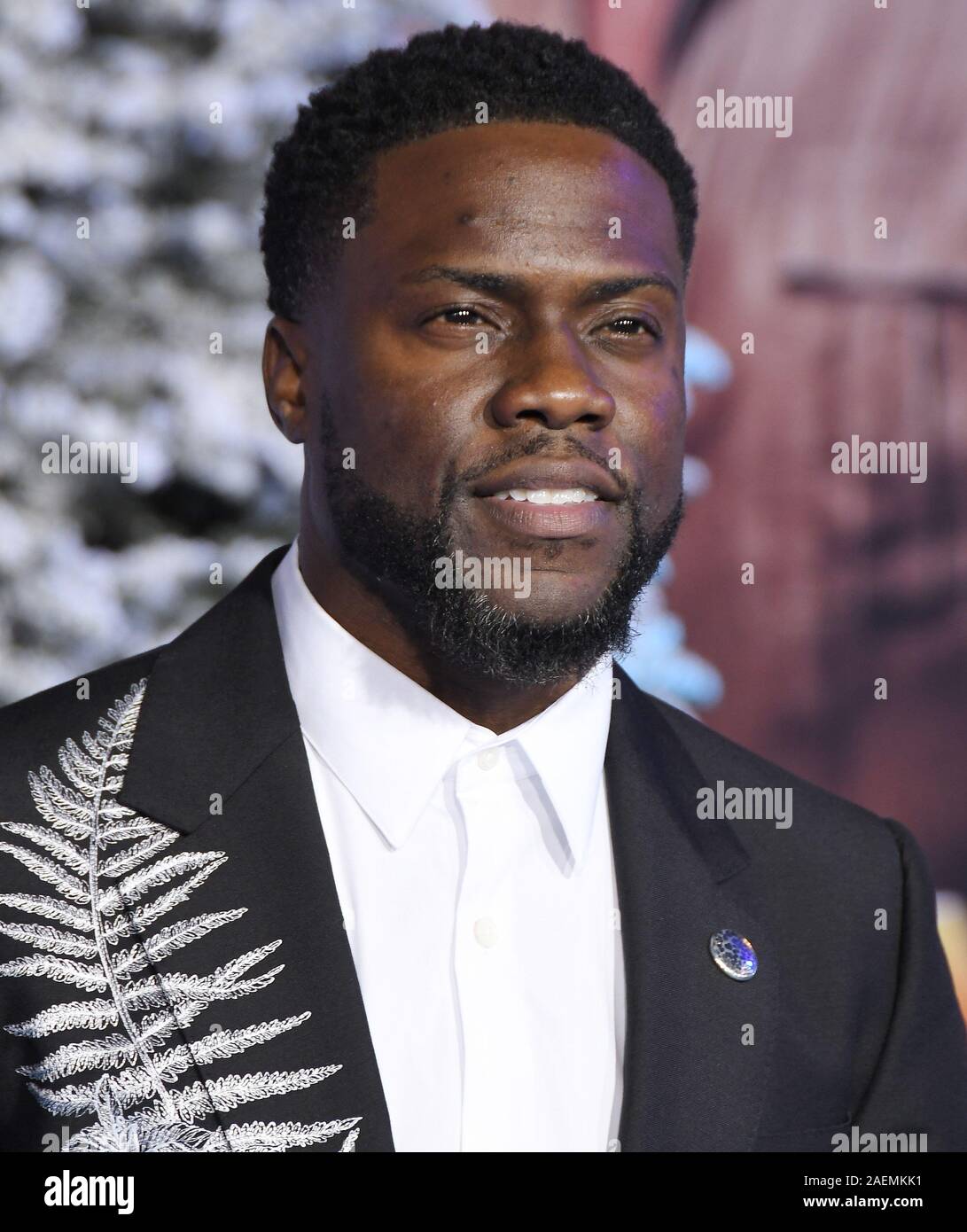 Kevin Hart arrives at the JUMANJI THE NEXT LEVEL Los Angeles Premiere ...