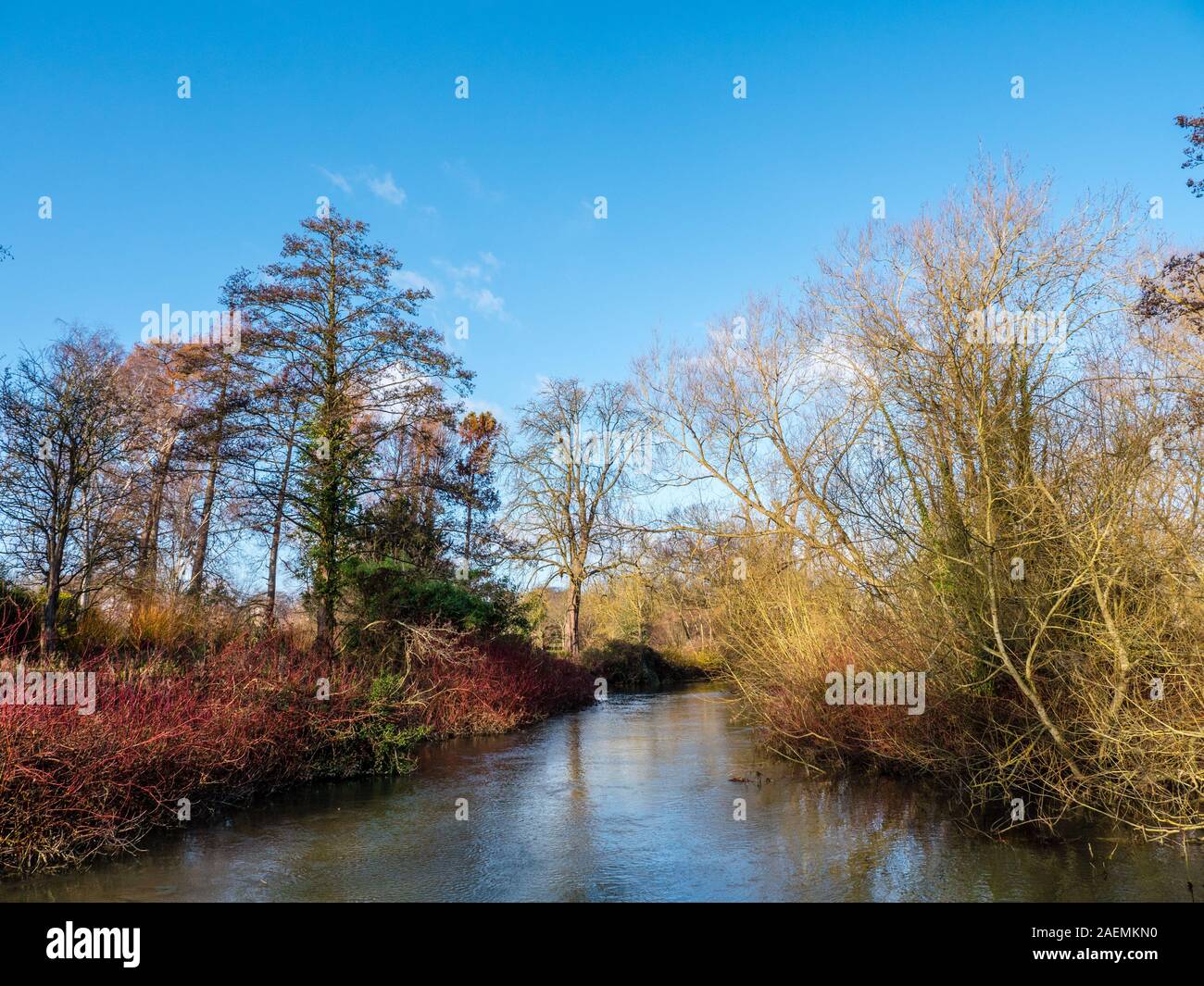 Winter Landscape, River Cherwell, Oxford University Parks, Oxford ...