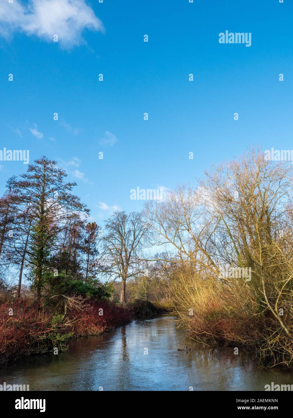 Winter Landscape, River Cherwell, Oxford University Parks, Oxford ...
