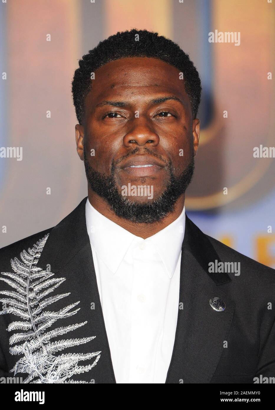 Los Angeles, CA. 9th Dec, 2019. Kevin Hart at arrivals for JUMANJI: THE ...