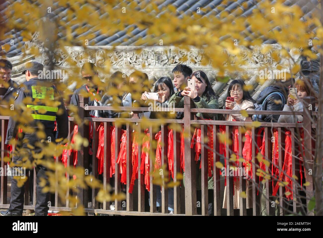People watch the 1400-thousand-year-old ginkgo tree, planted by Emperor ...
