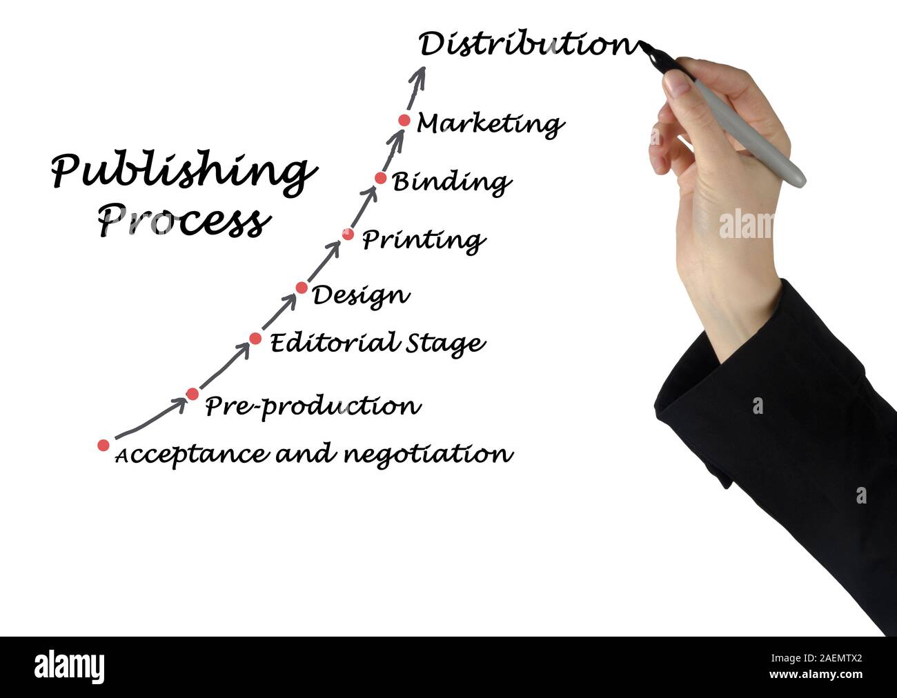 Diagram Designer 1295 Download Pobierz Za Darmo