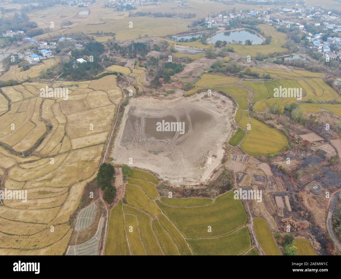 Aerial view of the withered rice terrace due to prolonged drought in ...