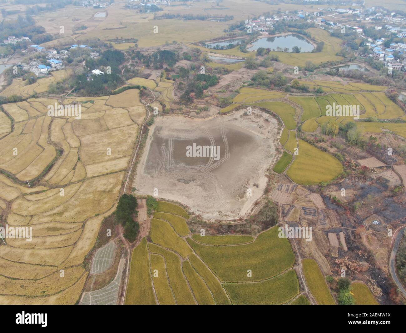 Aerial view of the withered rice terrace due to prolonged drought in ...