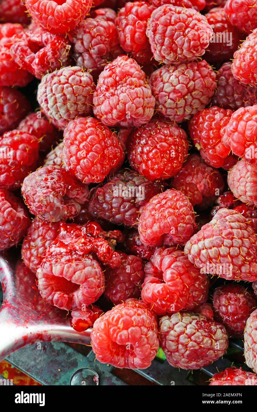 Belgrade green market hi-res stock photography and images - Alamy