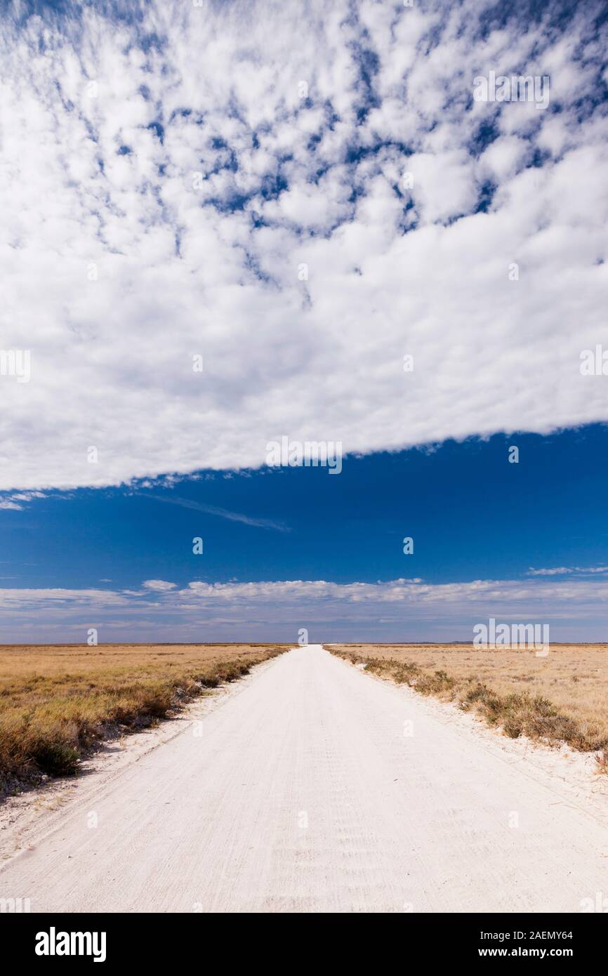 White gravel straight road, on desert pan, salt pan, Etosha National ...