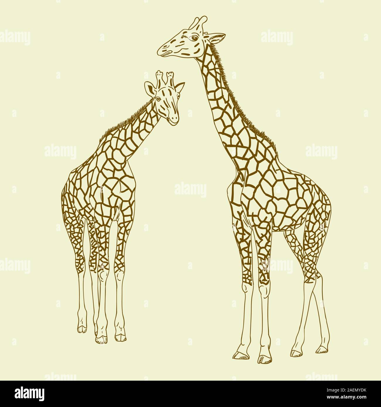 Two giraffes. Vector illustration Stock Vector Image & Art - Alamy
