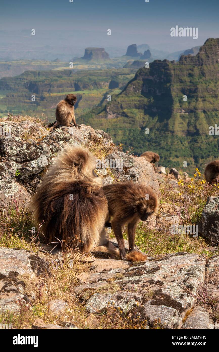 Ethiopia, Amhara Region, Highlands, Simien Mountains National Park ...
