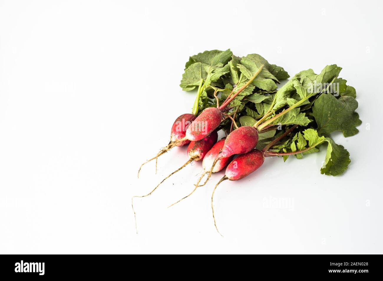 Bunch of radish isolated on white background, fresh vegetables from ...