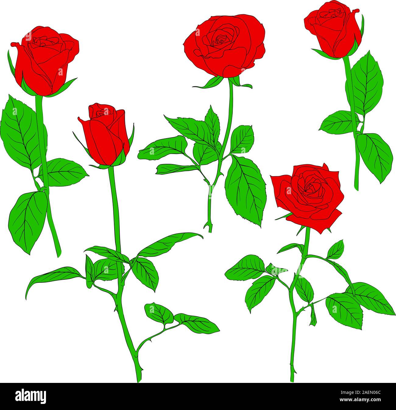 Set of in hand drawn style roses. Vector EPS 10 illustration Stock ...