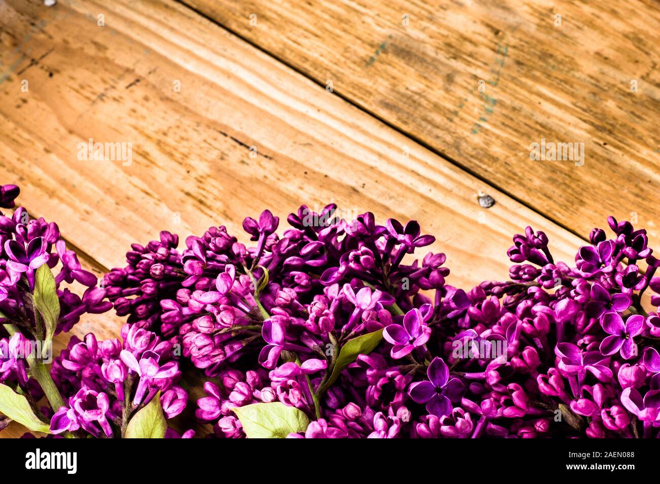 Bouquet of lilac flowers, spring background Stock Photo - Alamy