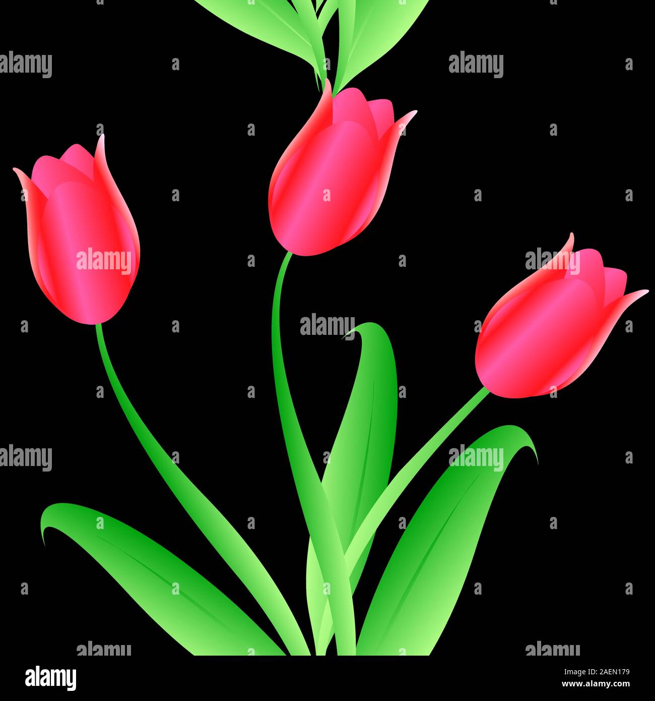 Elegance Seamless color tulips pattern on background, vector ...