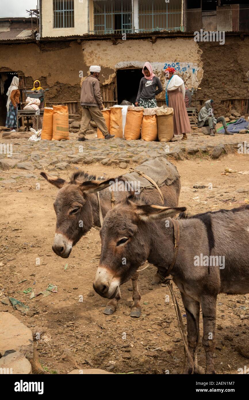 Ethiopia, Amhara Region, Debark, town centre, market area, abyssinan ...