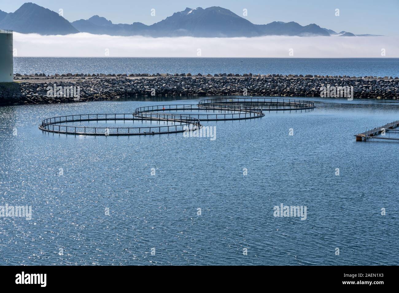 round enclosures of fish farm at harbor with shallow fog bank on ...