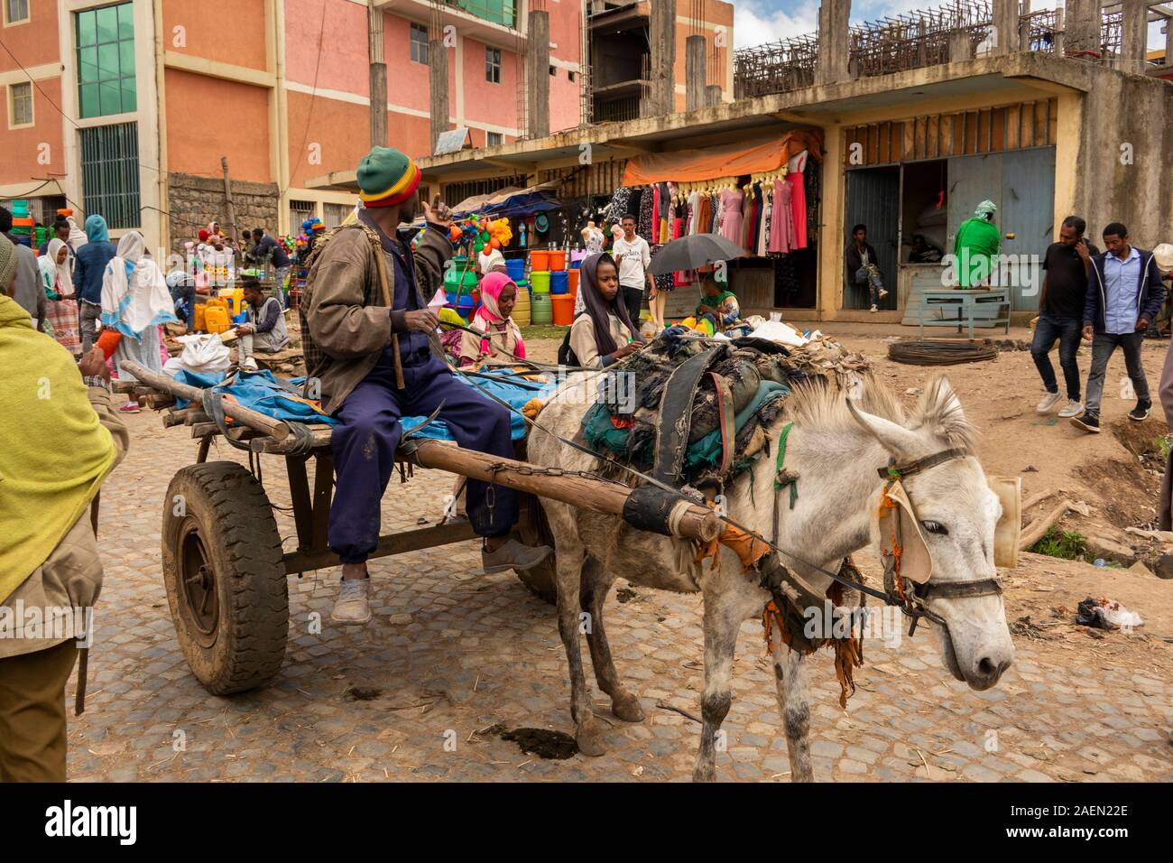 Ethiopia, Amhara Region, Debark, town centre, market area, horse ...