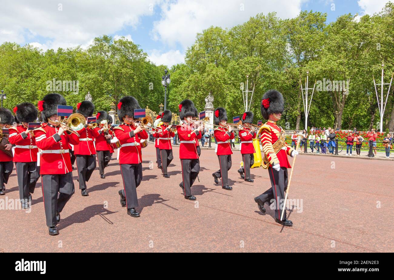 Coldstream guardsman flag hi-res stock photography and images - Alamy