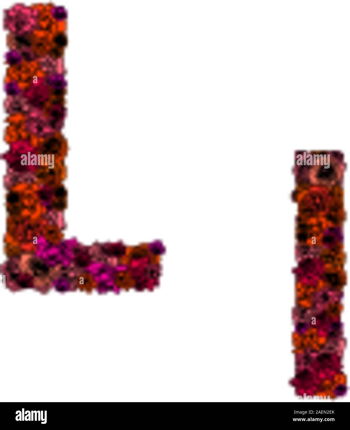 Flower alphabet of red roses, characters L-l Stock Vector Image & Art ...