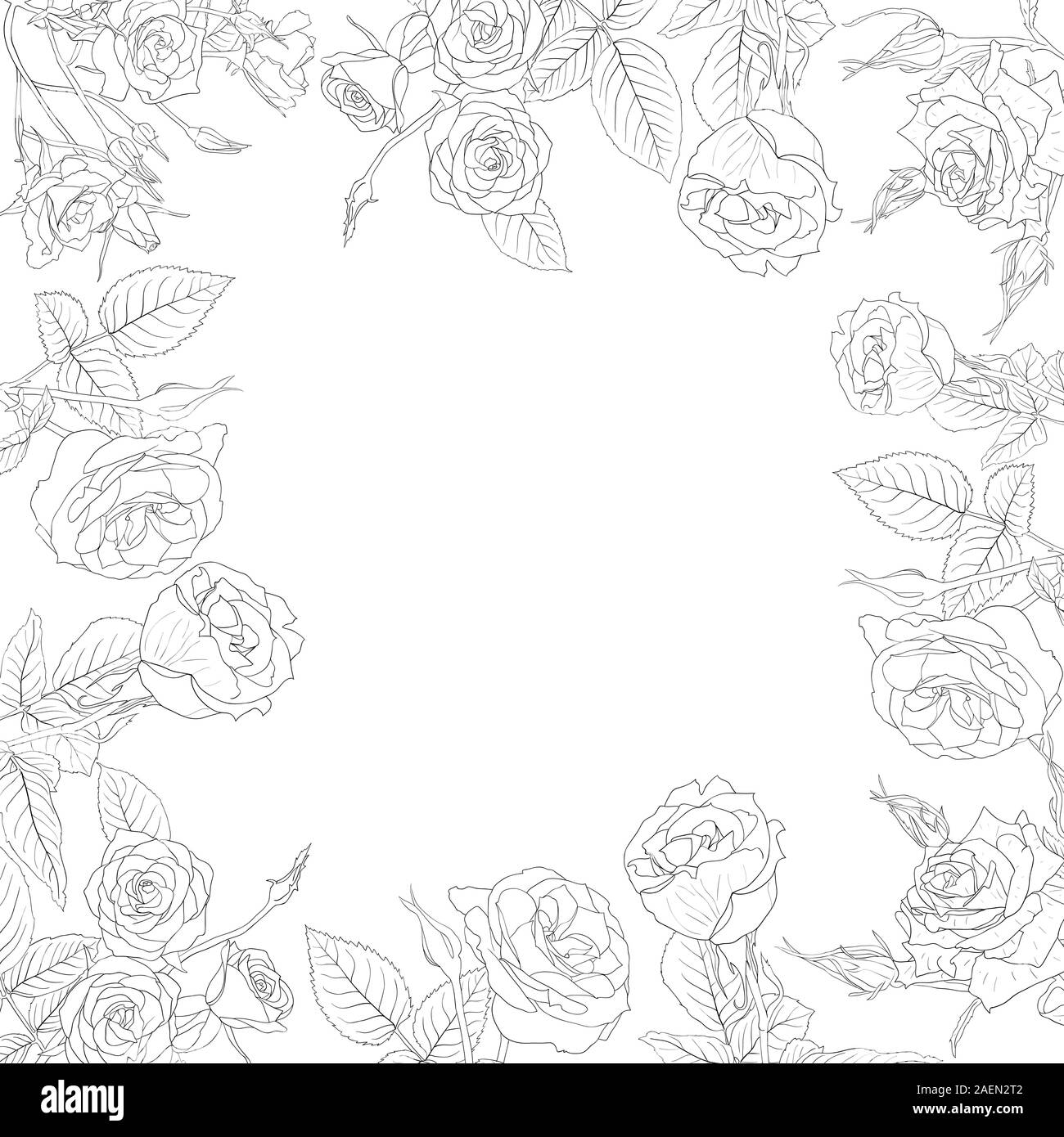 Vector garden flowers cosmos Black and White Stock Photos & Images - Alamy