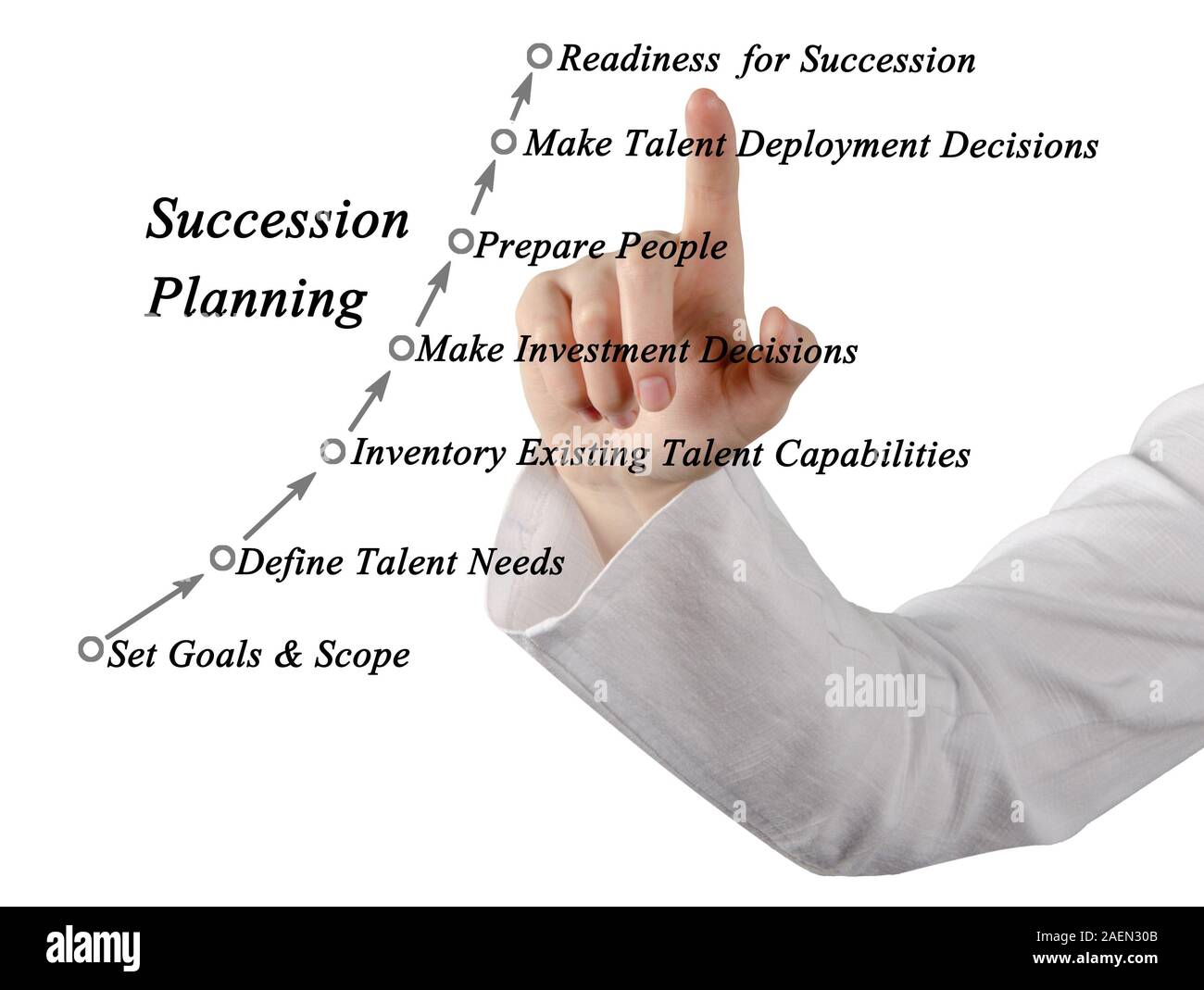 Succession planning process hi-res stock photography and images - Alamy
