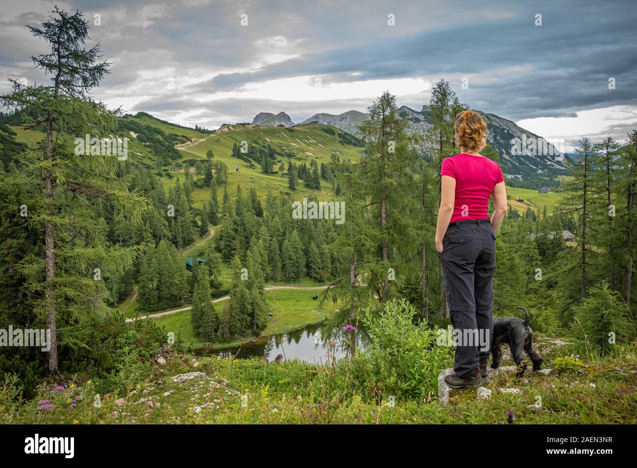 hikers in the austrian alps walk on mountain hiking trails in the woods ...
