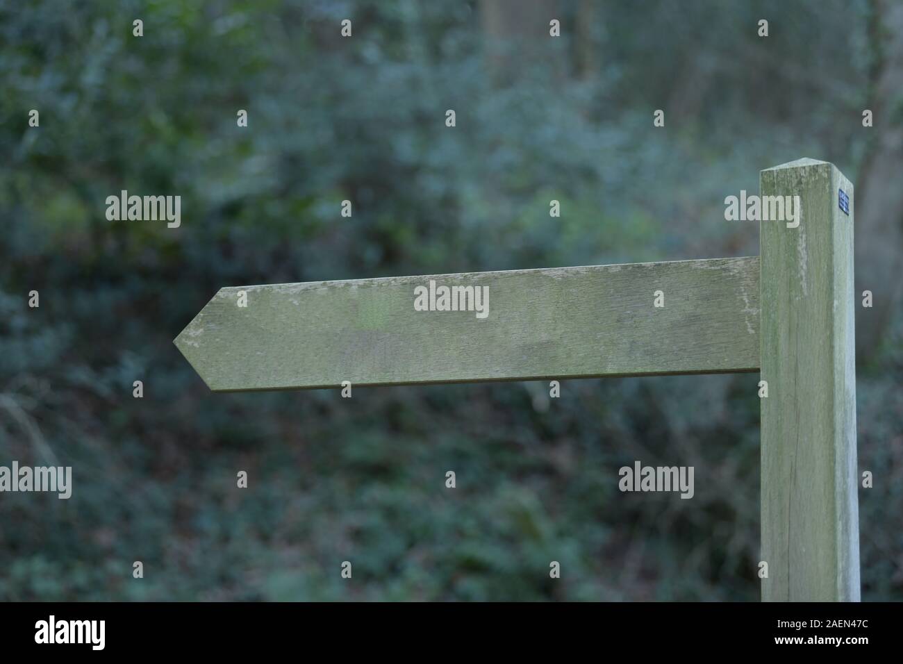 Blank wooden sign post in woodland Stock Photo - Alamy