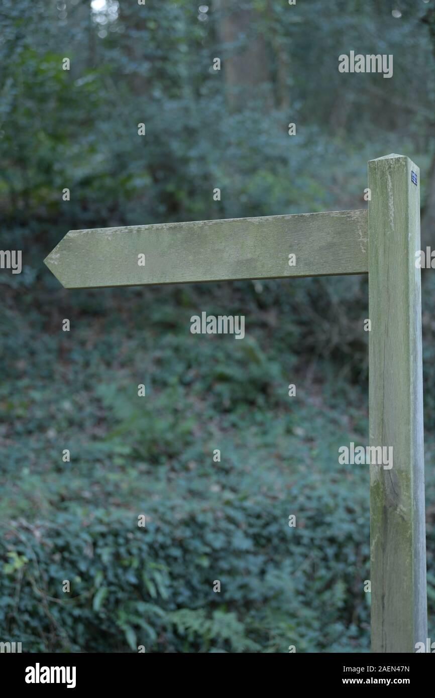 Blank wooden sign post in woodland Stock Photo - Alamy