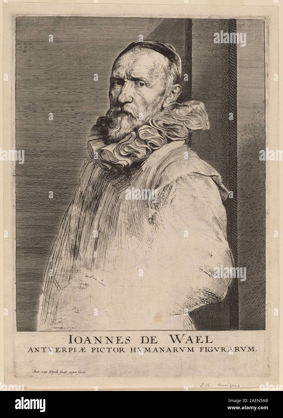 De wael hi-res stock photography and images - Alamy