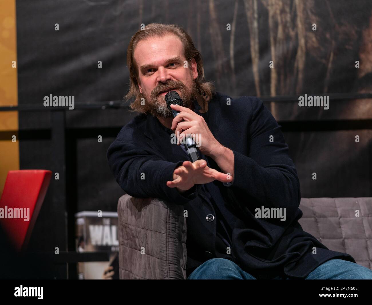 DORTMUND, GERMANY - December 7th 2019: David Harbour (*1975, American ...