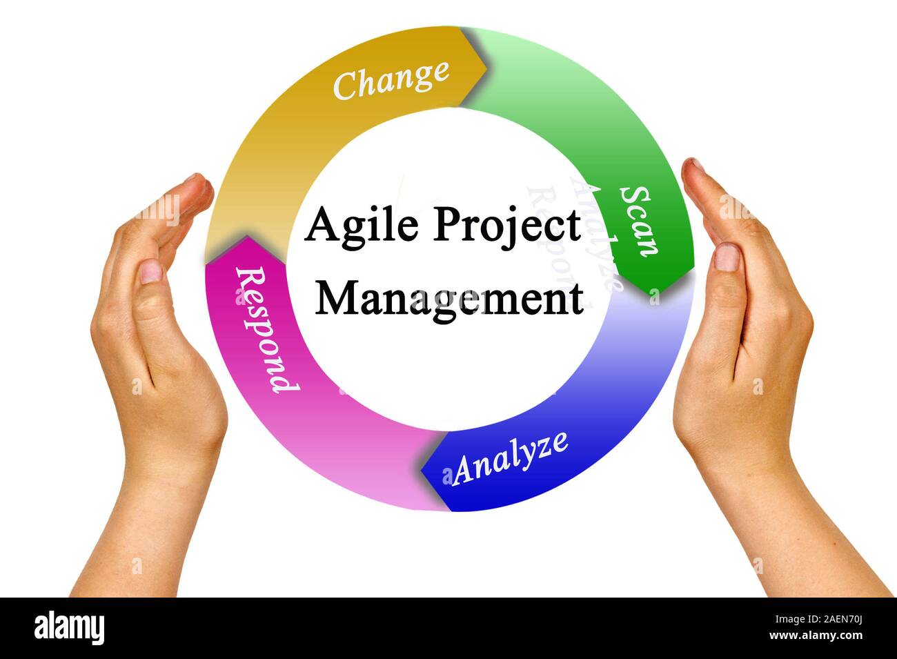 Agile project management hi-res stock photography and images - Alamy
