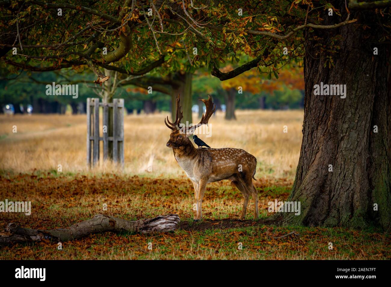 Under a buck hi-res stock photography and images - Alamy