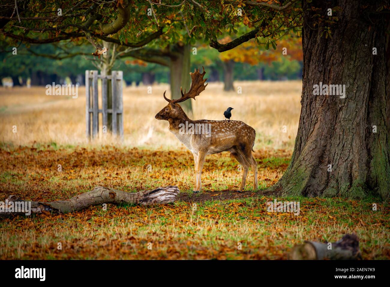 Under a buck hi-res stock photography and images - Alamy